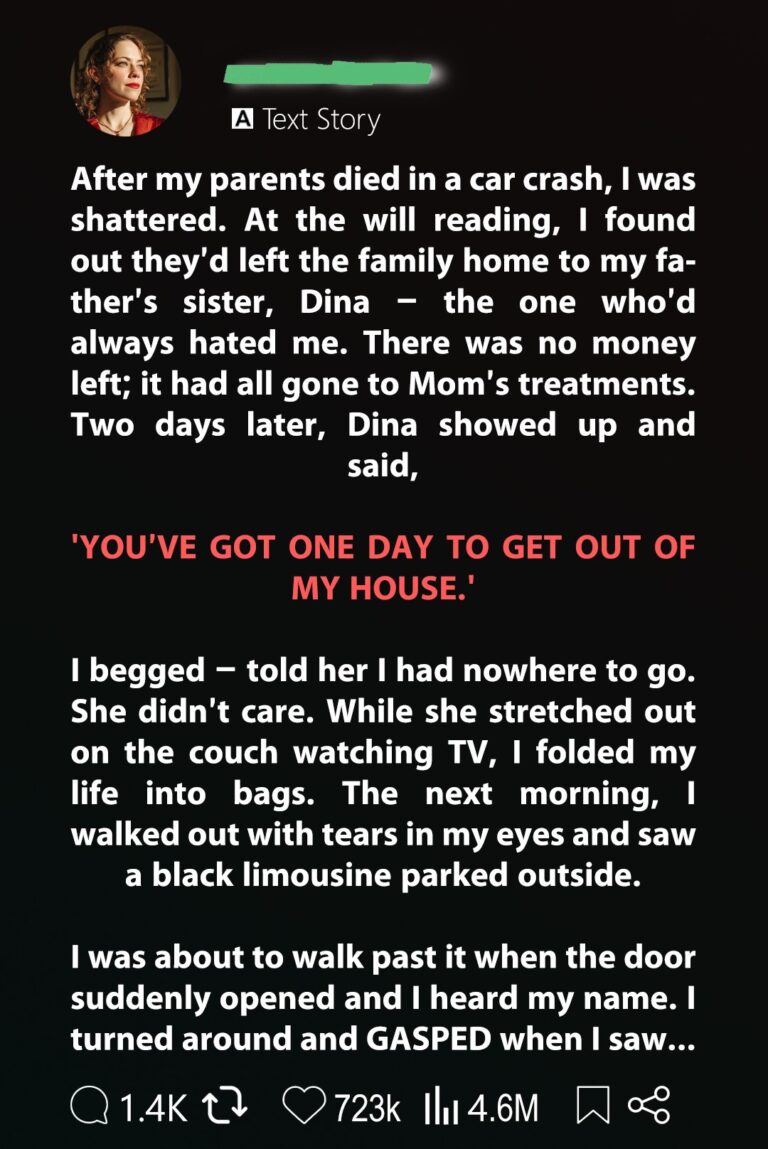 Evicted by My Aunt After My Parents’ Death—But the Limo That Arrived ...